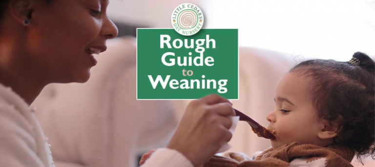 A Rough Guide to Weaning: tips & advice for parents of babies/toddlers