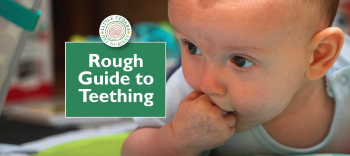 A Rough Guide to Teething for parents of babies & toddlers in the UK