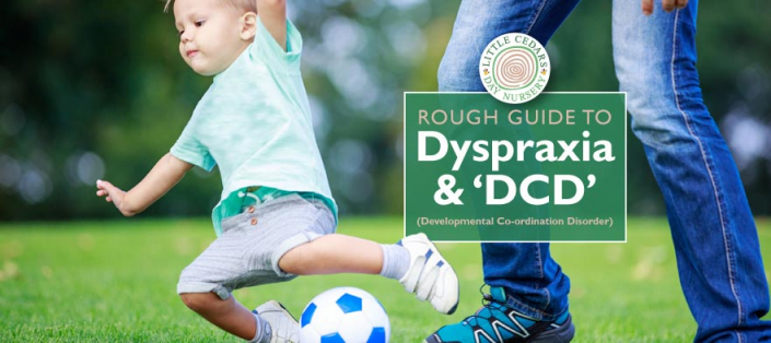 Rough Guide to Dyspraxia & Developmental Co-ordination Disorder (DCD)