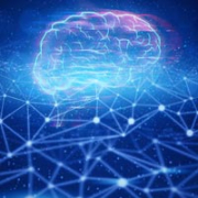 Adult interaction helps infants for a lifetime by enhancing brain ...