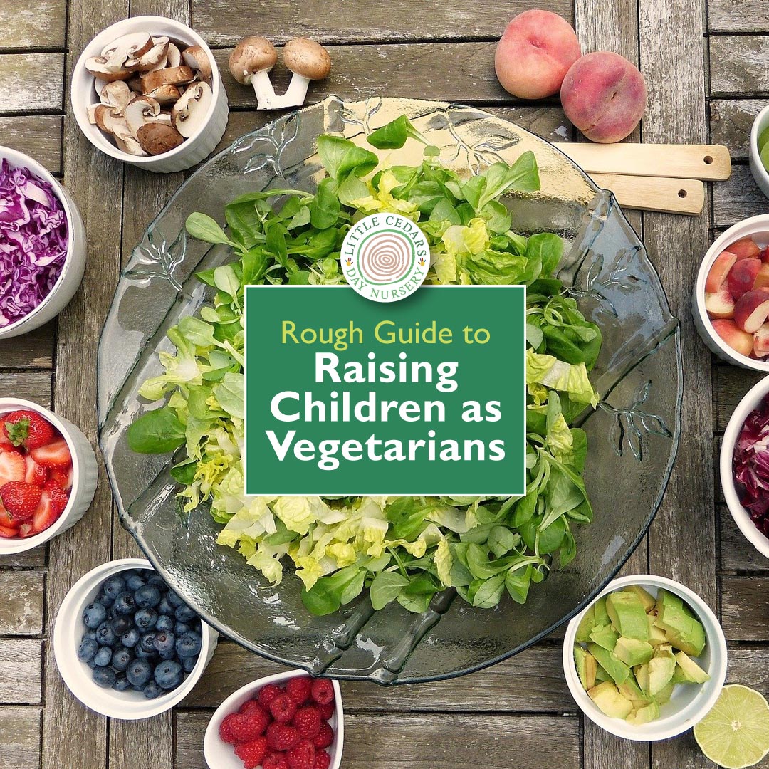 Is a Vegetarian Diet Safe for Children? Benefits & Guidelines Examined