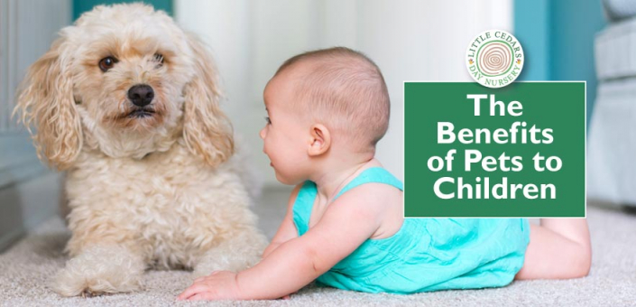 The Benefits of Pets & Animal Interaction to Children & Under-Fives