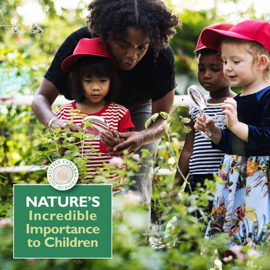 The Early Years Foundation Stage (EYFS) Curriculum in the UK (Guide)
