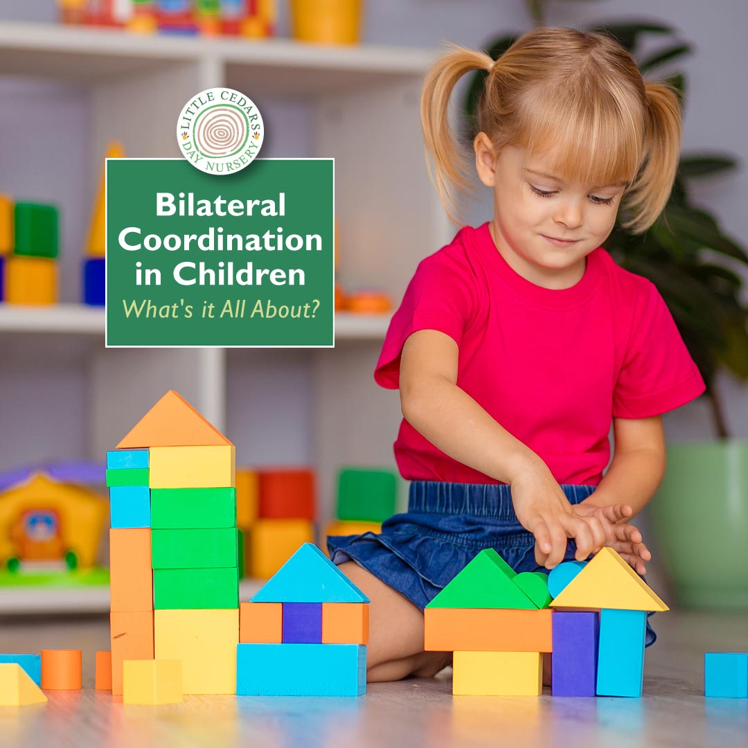 Rough Guide to Dyspraxia & Developmental Co-ordination Disorder (DCD)