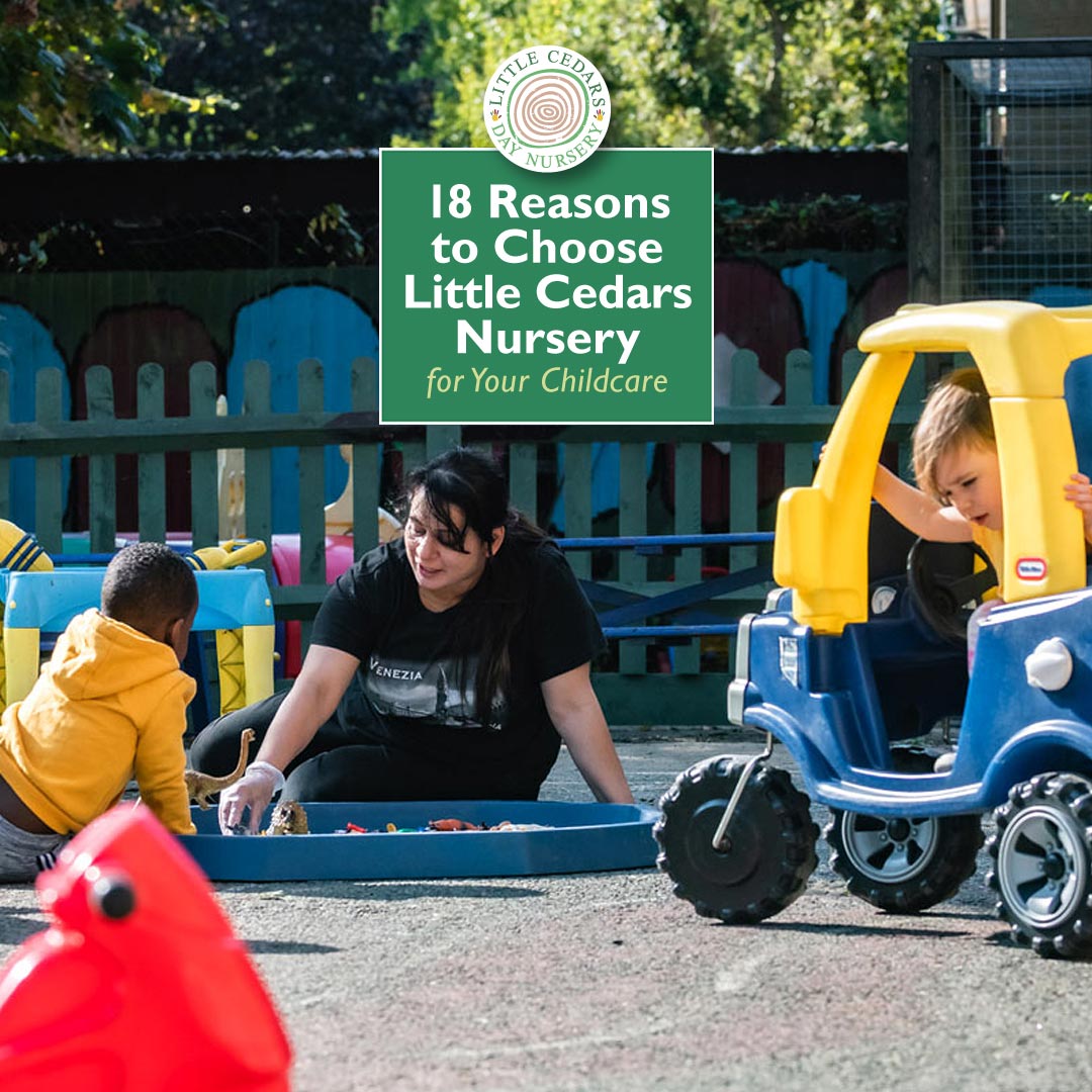 News blog for Little Cedars Day Nursery, Streatham. Latest posts etc.