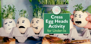 Cress ‘Egg Heads’ Activity for Under-5s: Fun, Educational & Tasty!