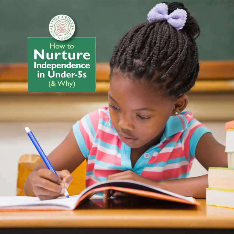 The Early Years Foundation Stage (EYFS) Curriculum in the UK (Guide)