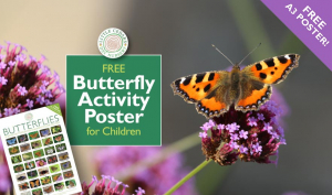Free Butterfly-Spotting Activity & Poster for Children incl. Under-5s