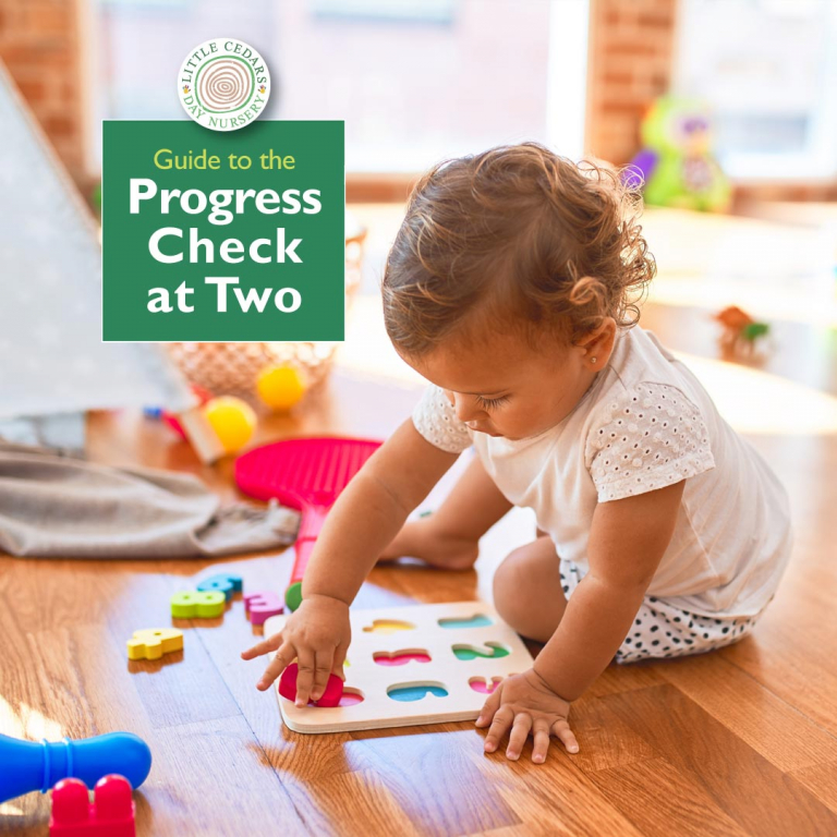 The Early Years Foundation Stage (EYFS) Curriculum in the UK (Guide)