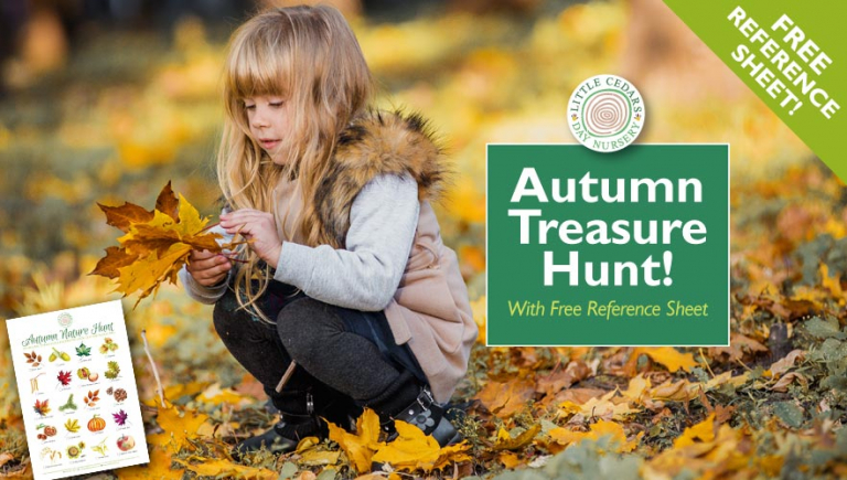 Autumn Treasure Hunt: a Nature-Based Activity for Children
