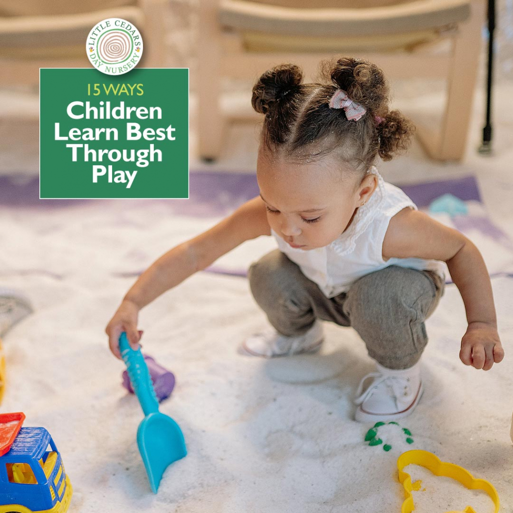 The Blossom Parent App (Rough Guide: Features, Benefits & Use)