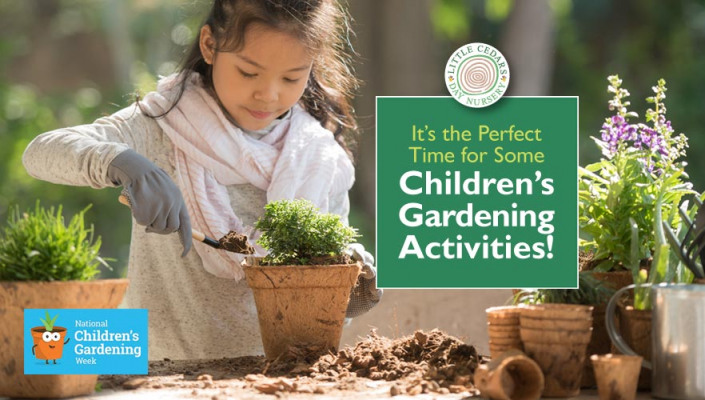 It’s The Perfect Time for Some Children's Gardening Activities!