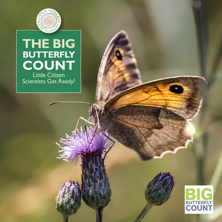 Deadlines for Free Childcare Codes (Time-Sensitive Guide)