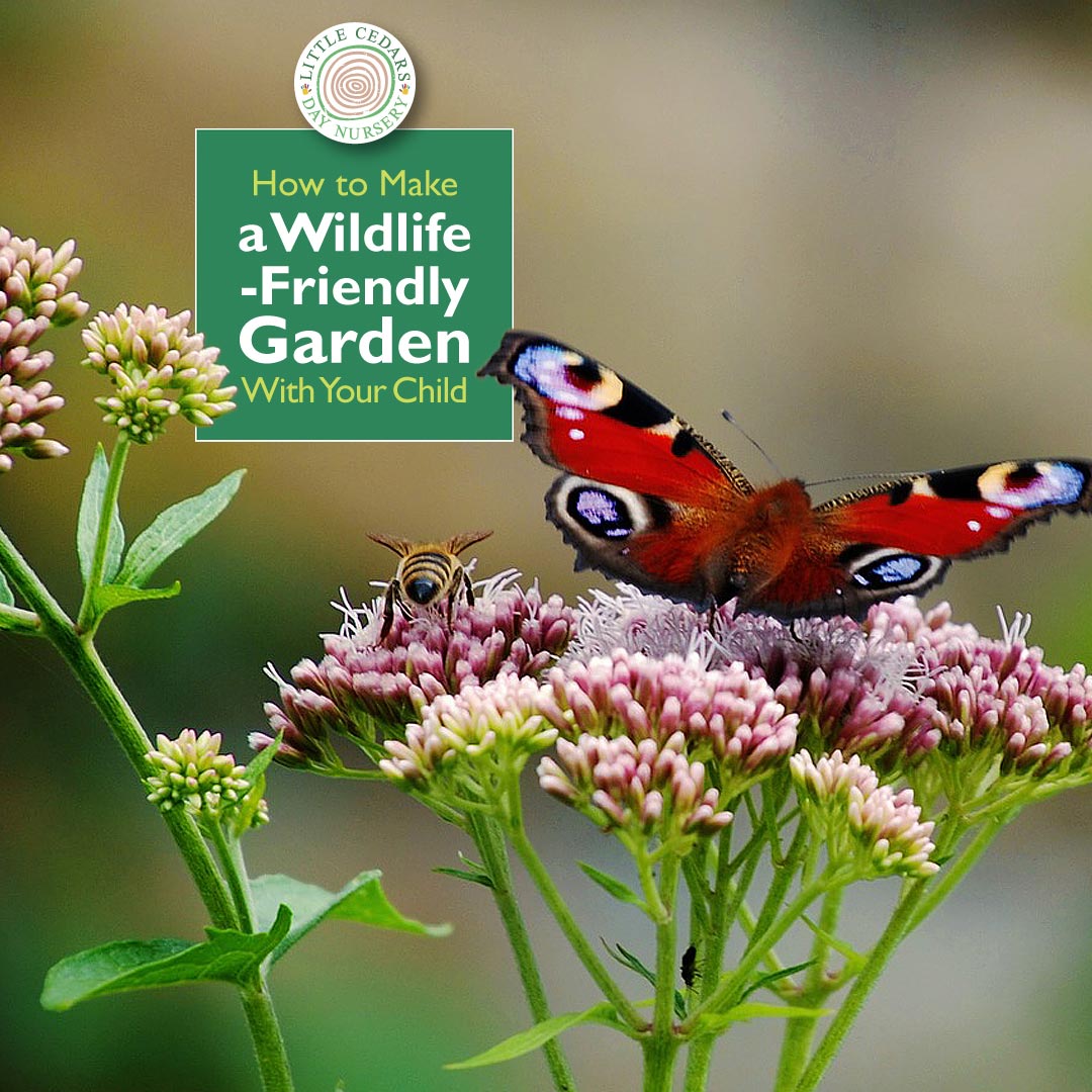Free Wild Mammals Poster for Under-5s — & World Wildlife Day