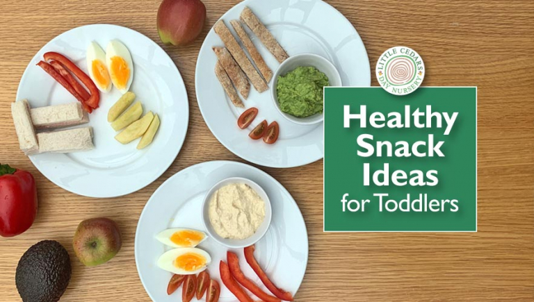 Healthy Snacks for Toddlers: Food Ideas, Portion Sizes, Regularity..