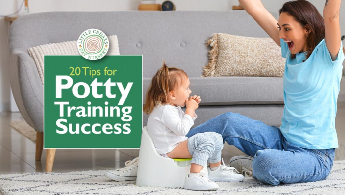 20 Tips for Potty Training Success: How to Fast-Track Toileting