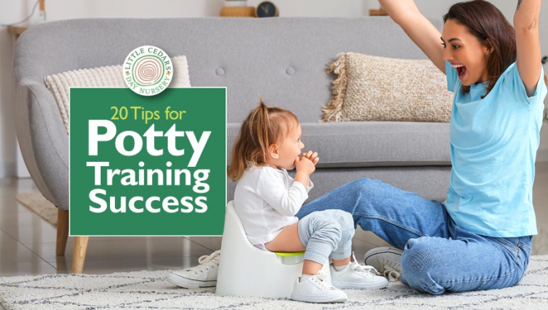 20 Tips for Potty Training Success: How to Fast-Track Toileting