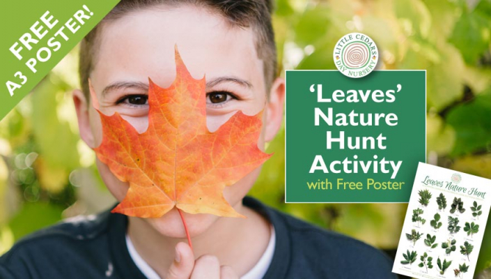 'Leaves Nature Hunt' Children's Activity with Free Poster Download
