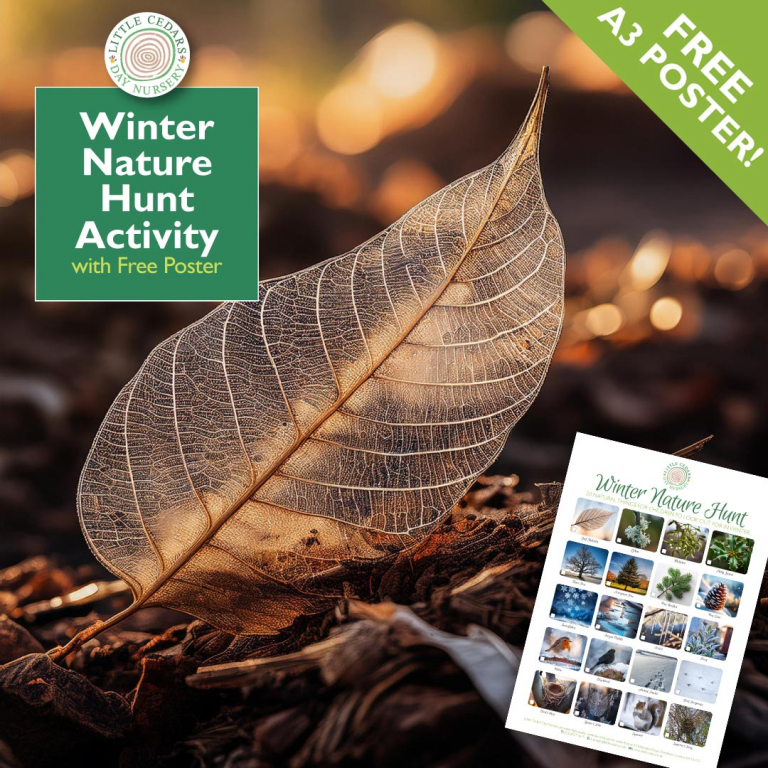 Autumn Treasure Hunt: a Nature-Based Activity for Children