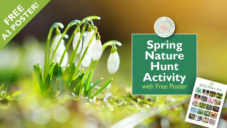 Spring Nature Hunt Activity for Kids - with Free Reference Poster
