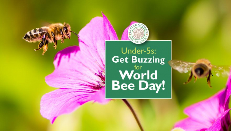 Get Buzzing for World Bee Day! Activity Ideas for Children Under 5