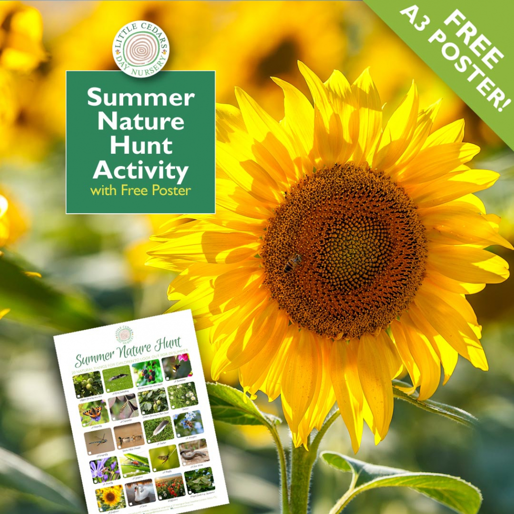 Autumn Composting Activity for Kids — It's Fun & Educational!