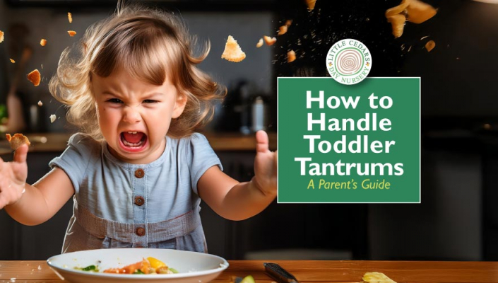 How to Handle Toddler Tantrums — A Parent’s Guide